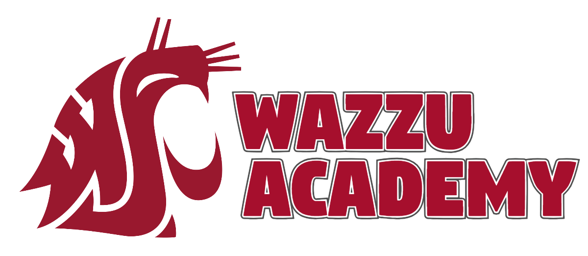 WAZZU ACADEMY